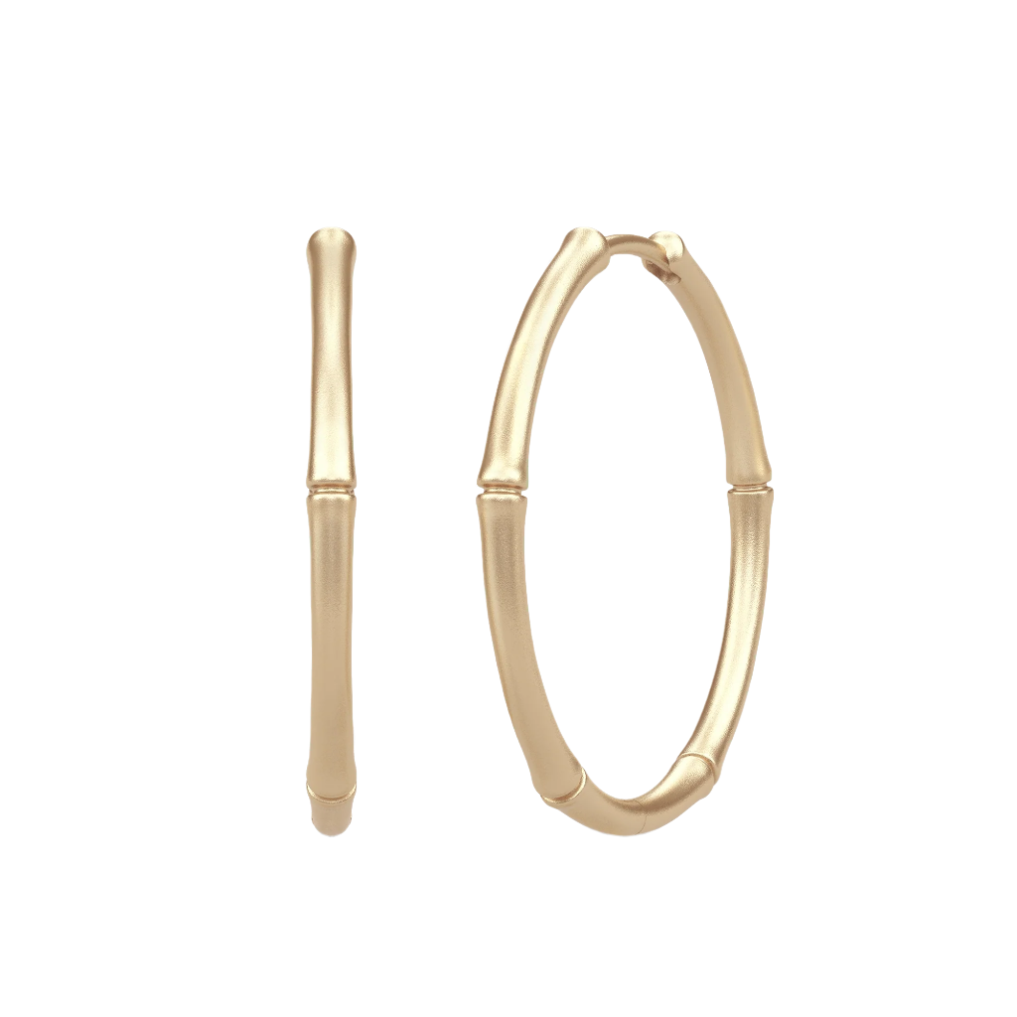 Julie Sandlau Bamboo Medium 14K Gold Hoops – The Jewellery Room